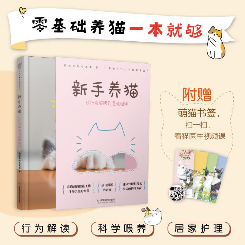 新手养猫:从行为解读到温暖相伴