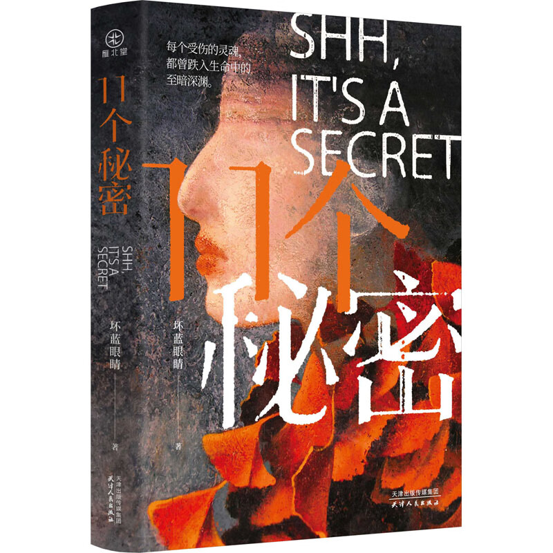 11个秘密 坏蓝眼睛  书籍