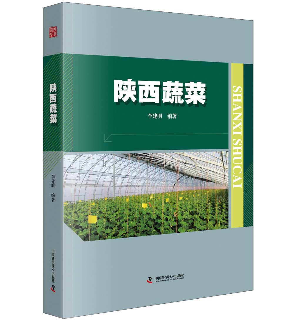 陕西蔬菜