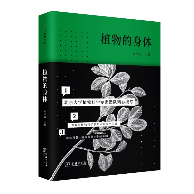 好好好桃之夭夭——花影间的曼妙旅程（自然感悟）好好好 植物的身体