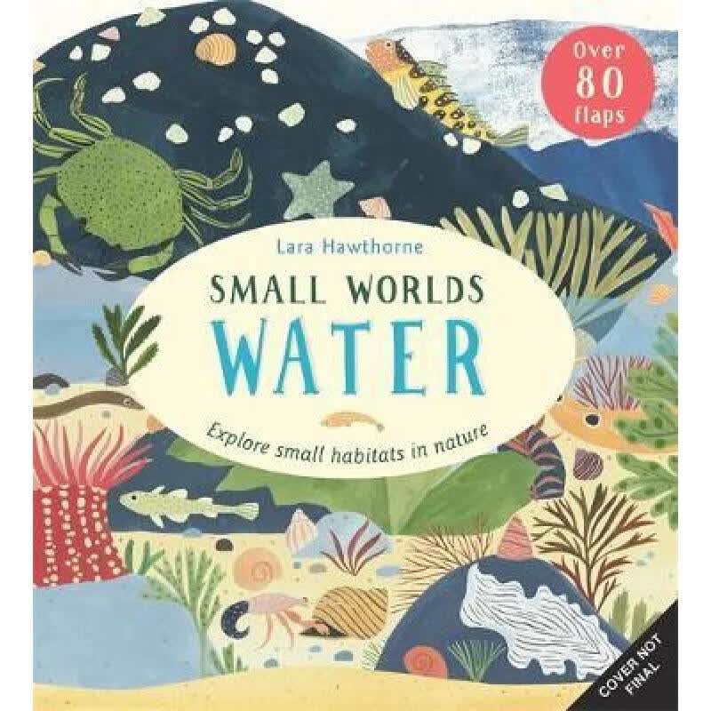 Small Worlds: Water