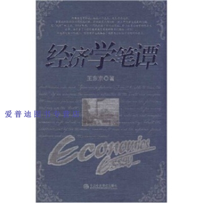 经济学笔谭 王东京【好书，下单速发】