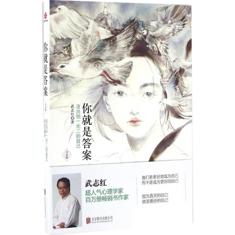 你就是答案 武志红 著 京华出版社