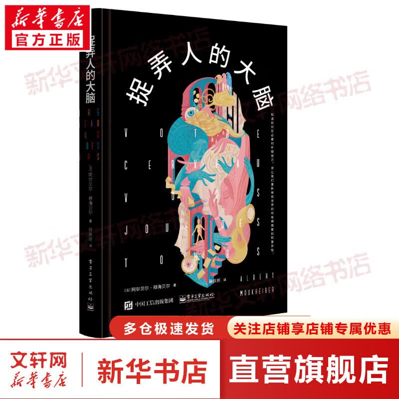 捉弄人的大脑 图书