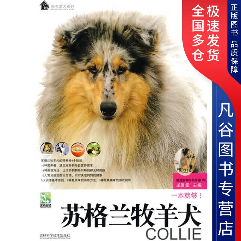【书】苏格兰牧羊犬9787538446432