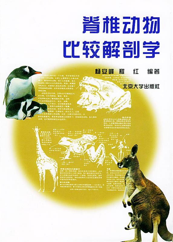 脊椎动物比较解剖学