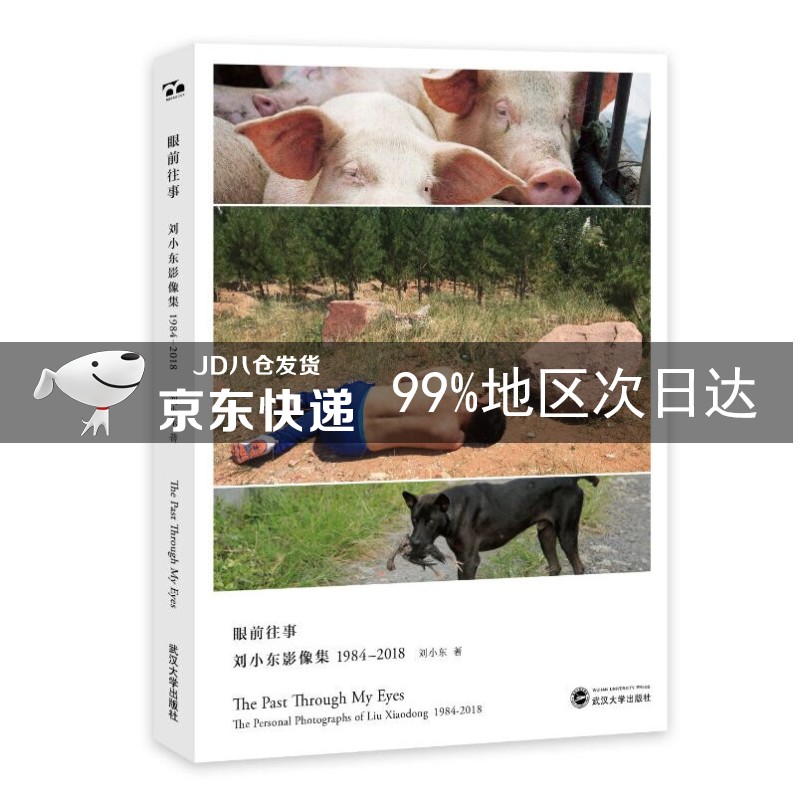 眼前往事：刘小东影像集1984—2018