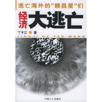 经济大逃亡 丁子江