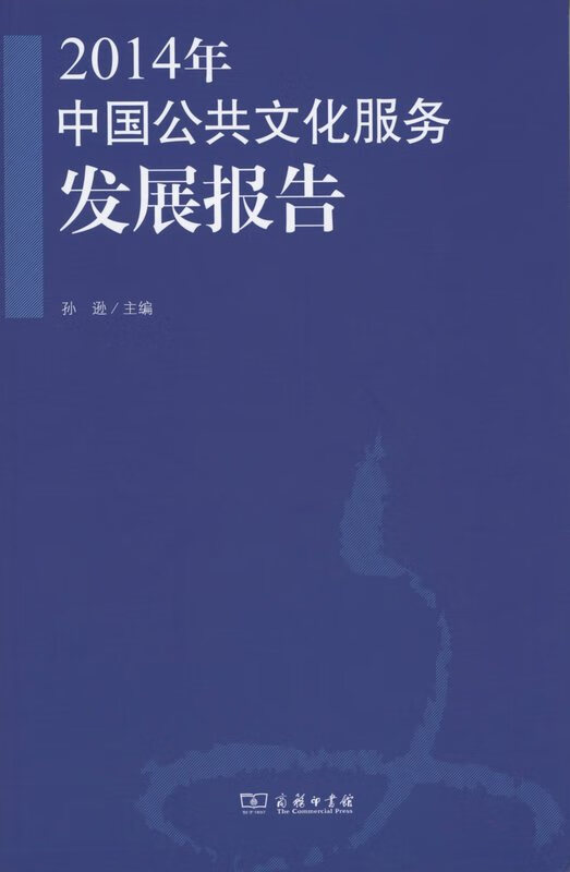 2014年中国公共文化服务发展报告