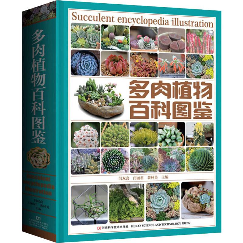 多肉植物百科图鉴