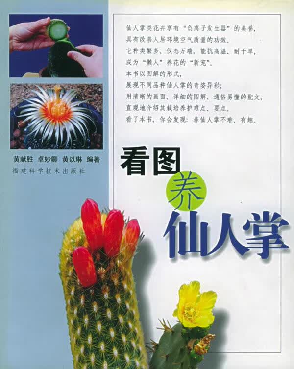 看图养仙人掌