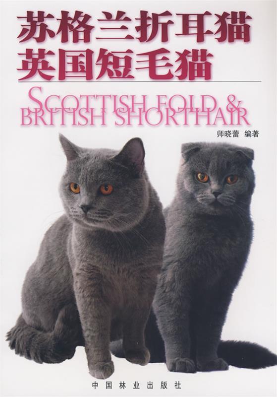 苏格兰折耳猫.英国短毛猫 师晓蕾编著【书】