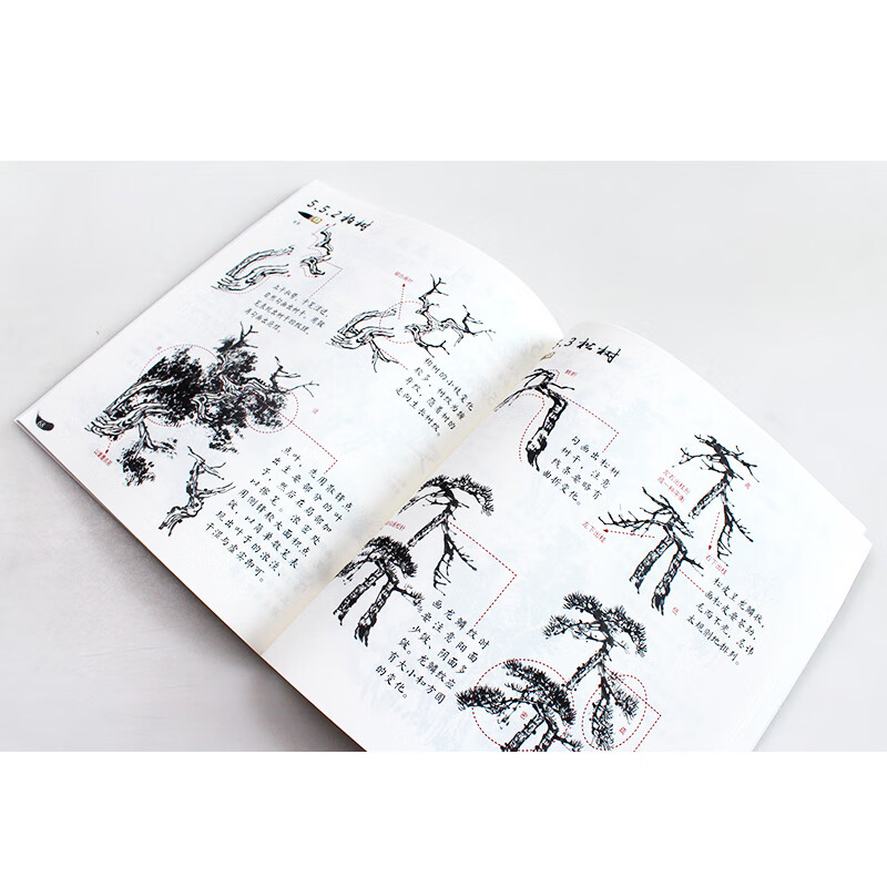 山水云树(大字大图版)/新手学国画