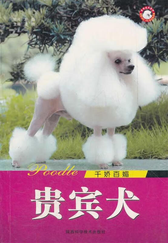 千娇百媚贵宾犬【，放心购买】