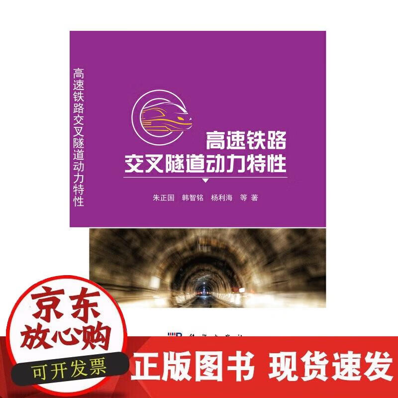 【现货】高速铁路交叉隧道动力特性