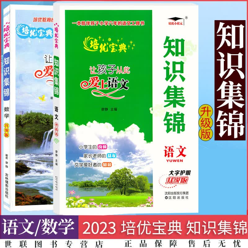 2023新知识集锦语文升级版大字护眼全国版小学生1-6年级统编语文知识大全文学常识字词成语归纳六年级小升初 2本/知识集锦【语+数】知识点归纳 小学通用