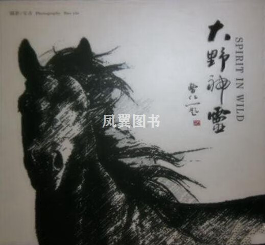 大野神灵 宝音著 远方出版社