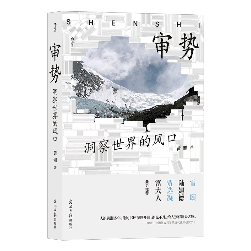 审势(洞察世界的风口)