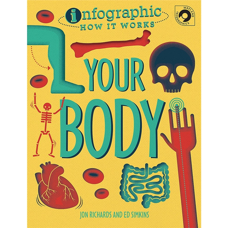 Your Body (Infographic: How It Works)