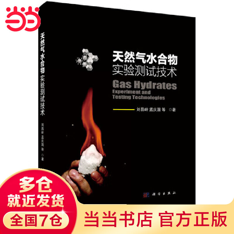 天然气水合物实验测试技术