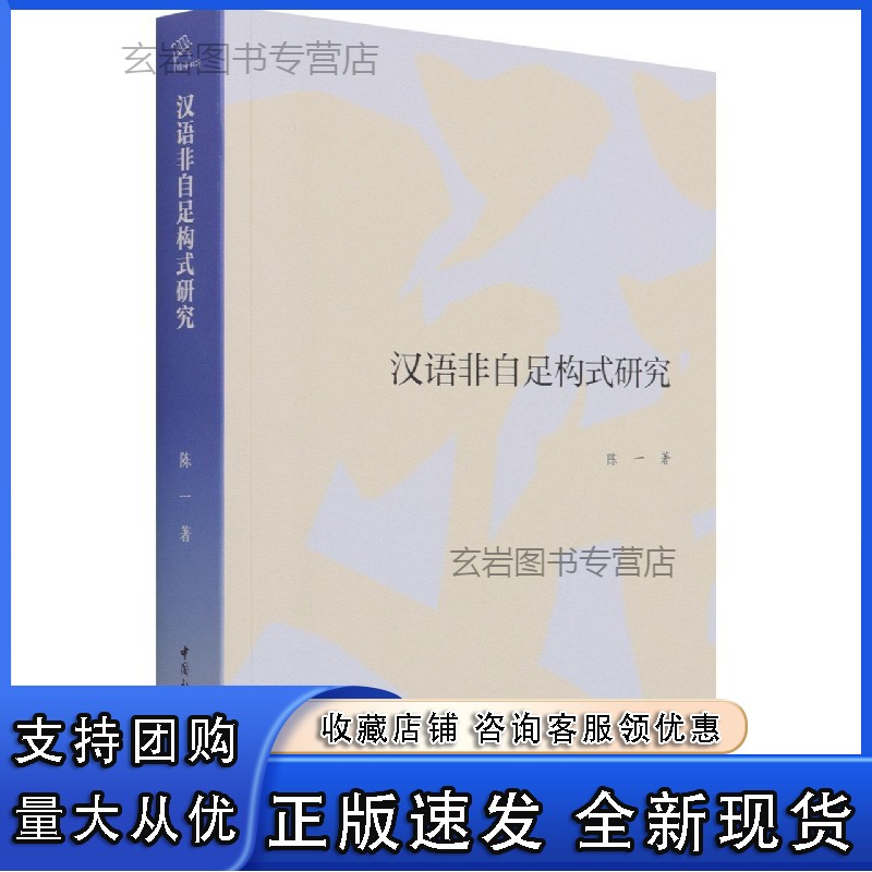 n汉语非自足构式研究