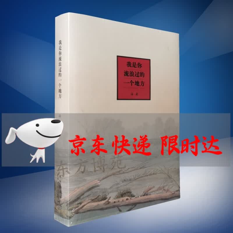 海桑诗集《我是你流浪过的一个地方》 随身迷你小小口袋书小书 文艺诗集情书 中国现代诗集 读库出品