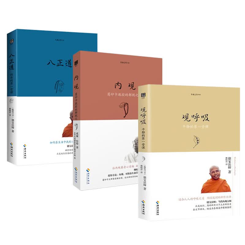 观呼吸+内观+八正道