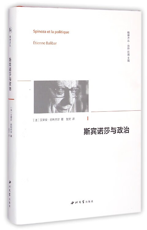 斯宾诺莎与政治(精)/精神译丛