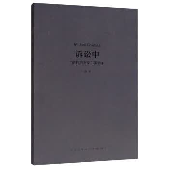 诉讼中 周翠 新星出版社