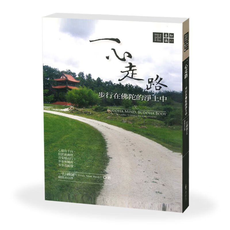 一心走路:一行禅师的生命觉醒之作 一行禅师繁体竖版