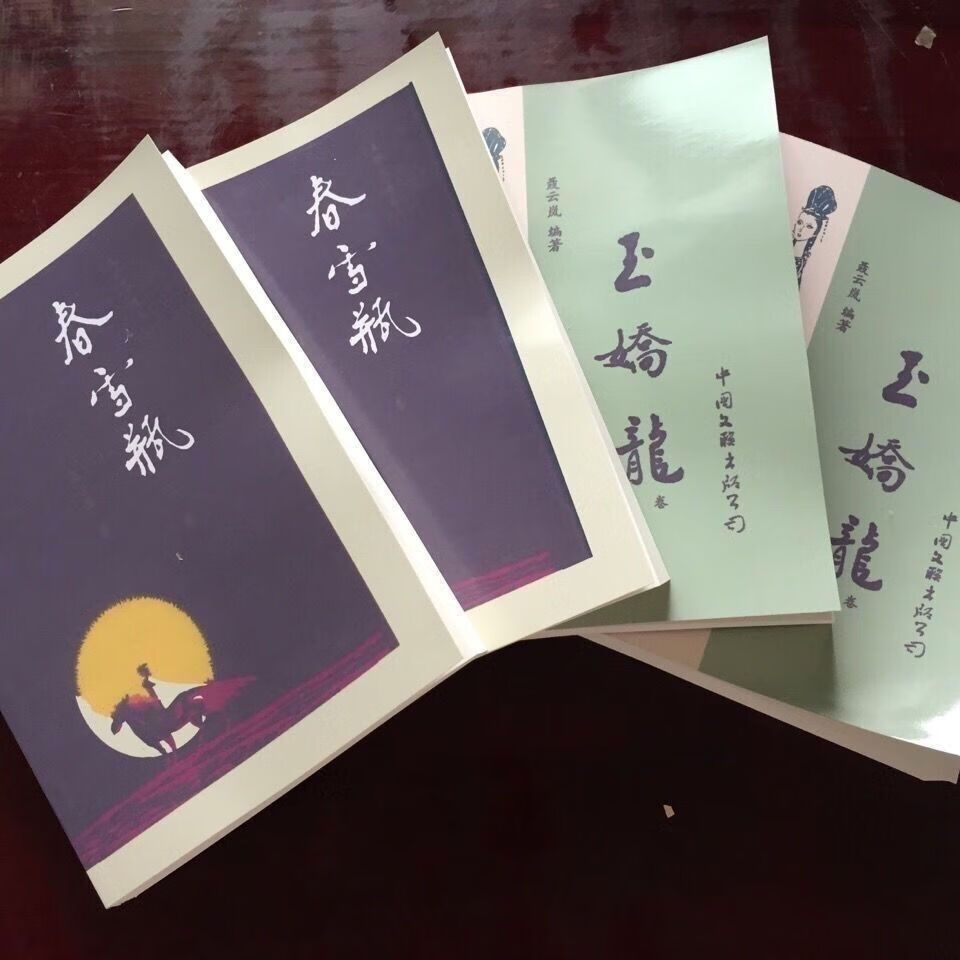 玉娇龙上下续集春雪瓶上下四册合售聂云岚