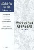 现代企业知识产权类无形资产法律问题【好书】