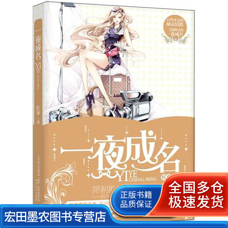 一夜成名【好书】
