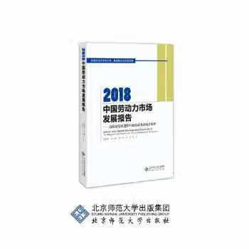 2018中国劳动力市场发展报告：高质量发展进程中的劳动力市场平衡性 赖德胜 北京师范大学出版社 97