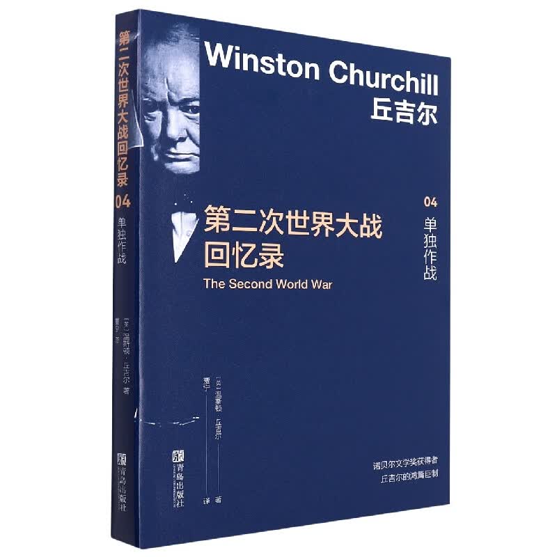 第二次世界大战回忆录04:单独作战 (英)温斯顿·丘吉尔