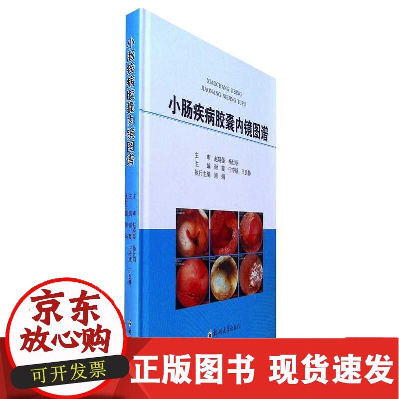 C 小肠疾病胶囊内镜图谱