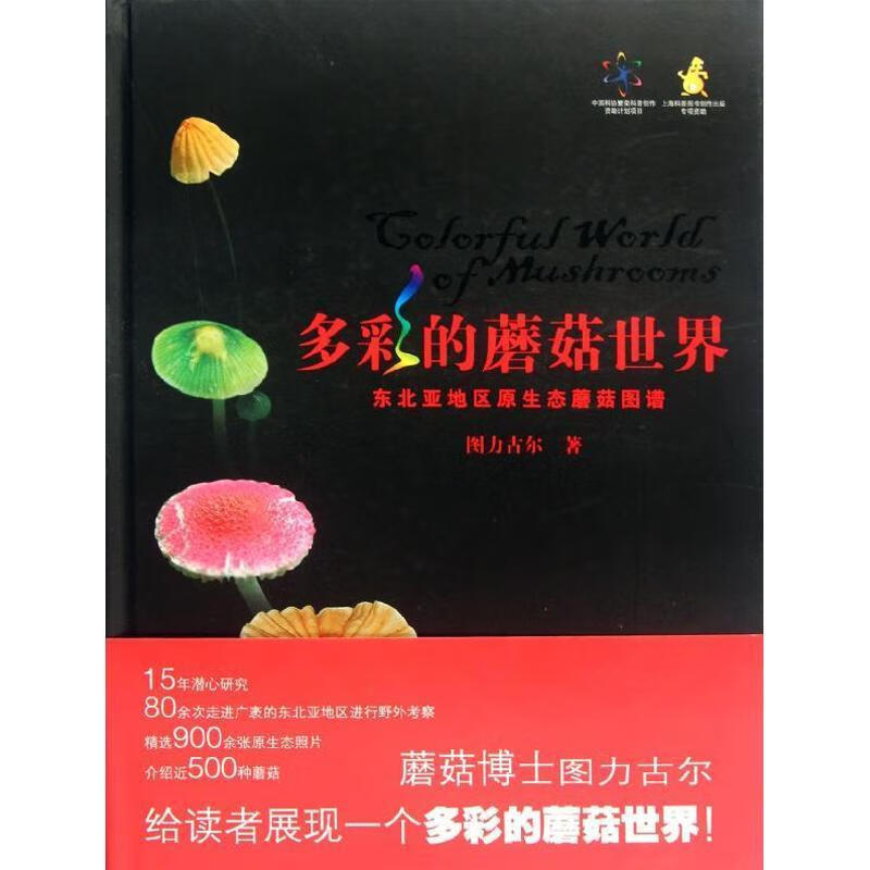多彩的蘑菇世界