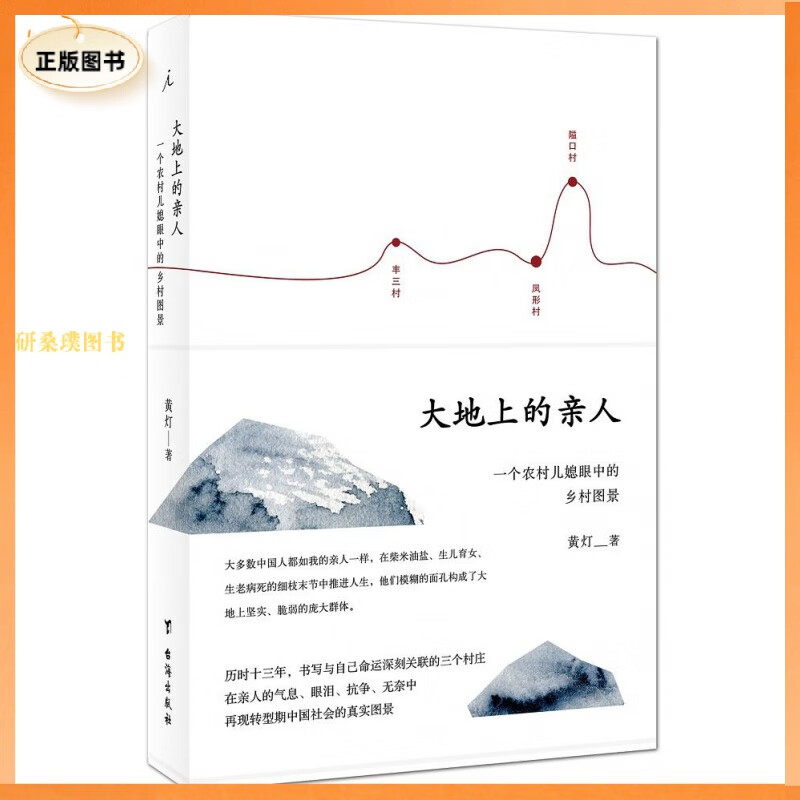 大地上的亲人:一个农村儿媳眼中的乡村图景 黄灯 台海出版社