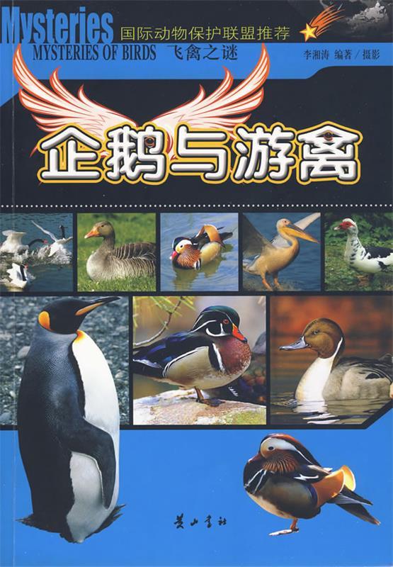 飞禽之谜. 企鹅与游禽
