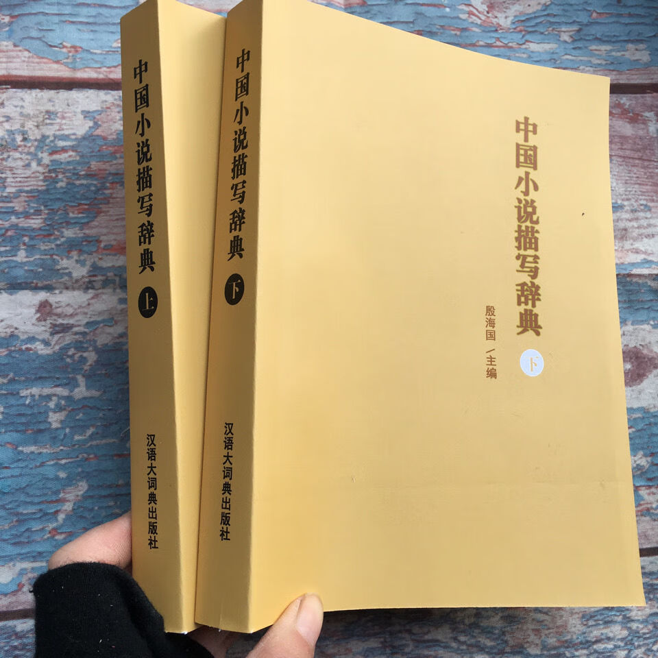 中国小说描写辞典 殷海国主编