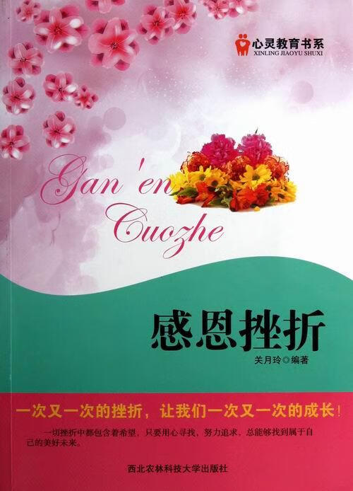 心灵教育书系:感恩挫折 关月玲 著