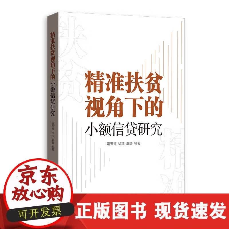 【现货】精准扶贫视角下的小额信贷研究