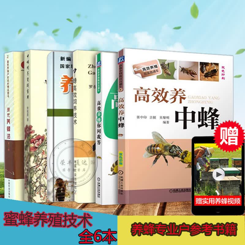 6本 高效养中蜂 中蜂养殖技术大全书籍 养蜂配套技术手册 现代养蜂法 中蜂高效饲养技术饲养实战宝典