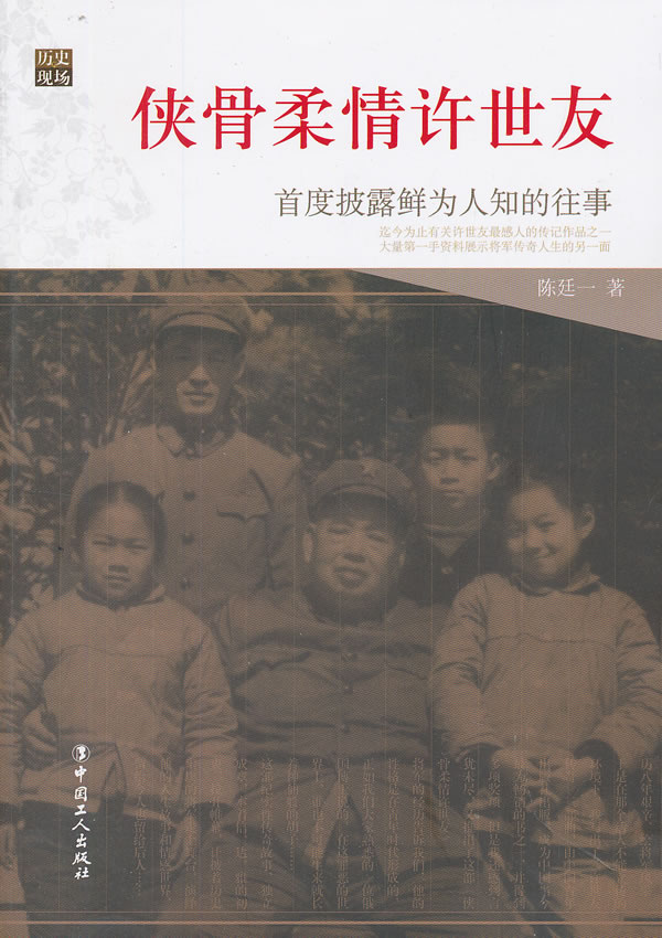 侠骨柔情许世友 陈廷一【书】