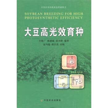 大豆高光效育种