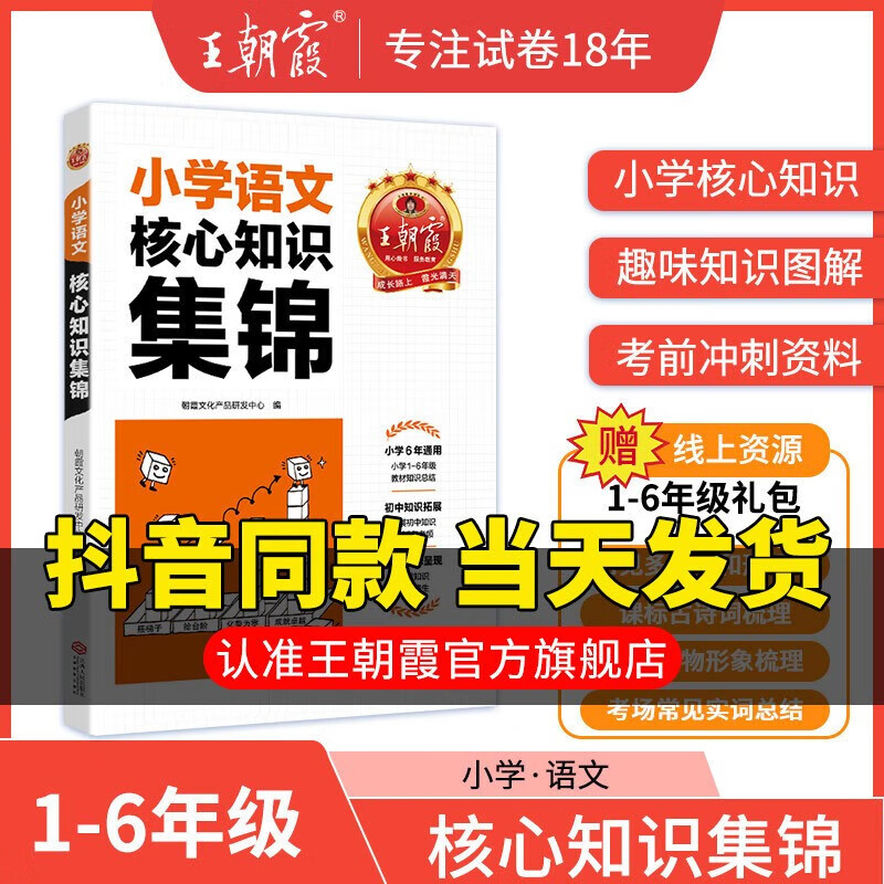 2023王朝霞小学核心知识集锦语文数学英语基础知识大盘点一二三四五六年级小学知识大全考试总复习小升初衔接工具书 语文