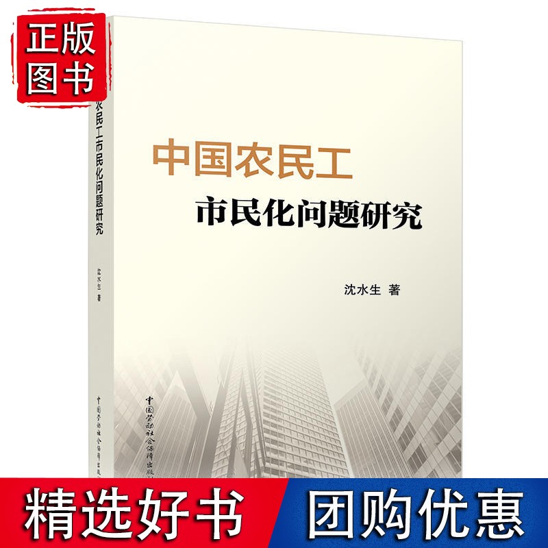 中国农民工市民化问题研究