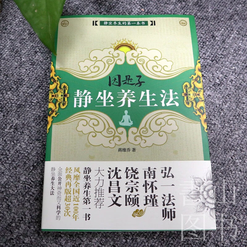 因是子静坐养生法 蒋维乔 养身静坐书籍 静坐气功养生学 身心灵修炼修身养性佛学宗教禅修 呼吸之间
