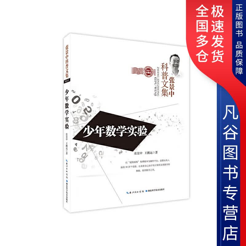 【书】少年数学实验