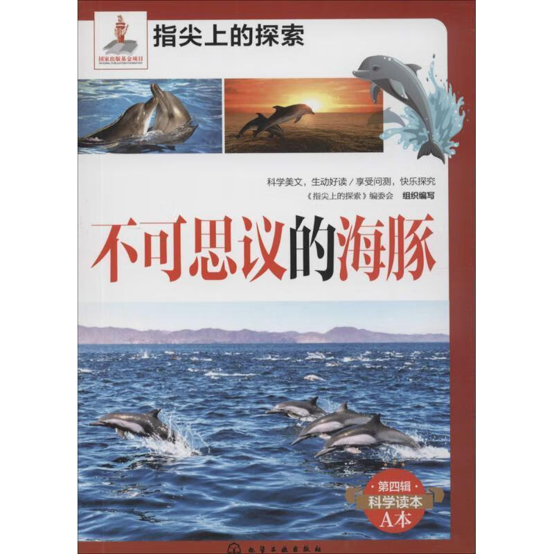 不可思议的海豚